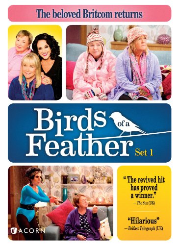 DVD Review: Birds of a Feather Set 1 | The Nerds Templar